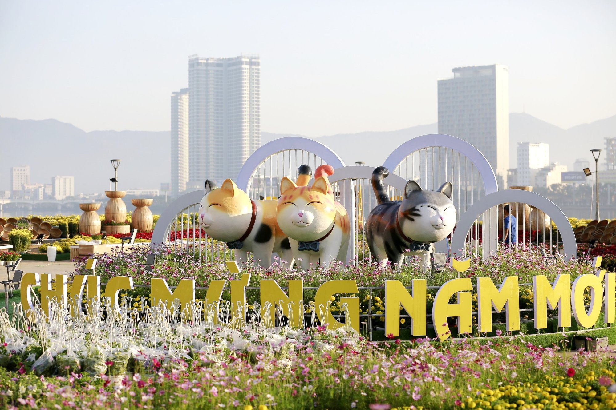 Đà Nẵng: Đường hoa xuân khoe sắc đón Tết Quý Mão