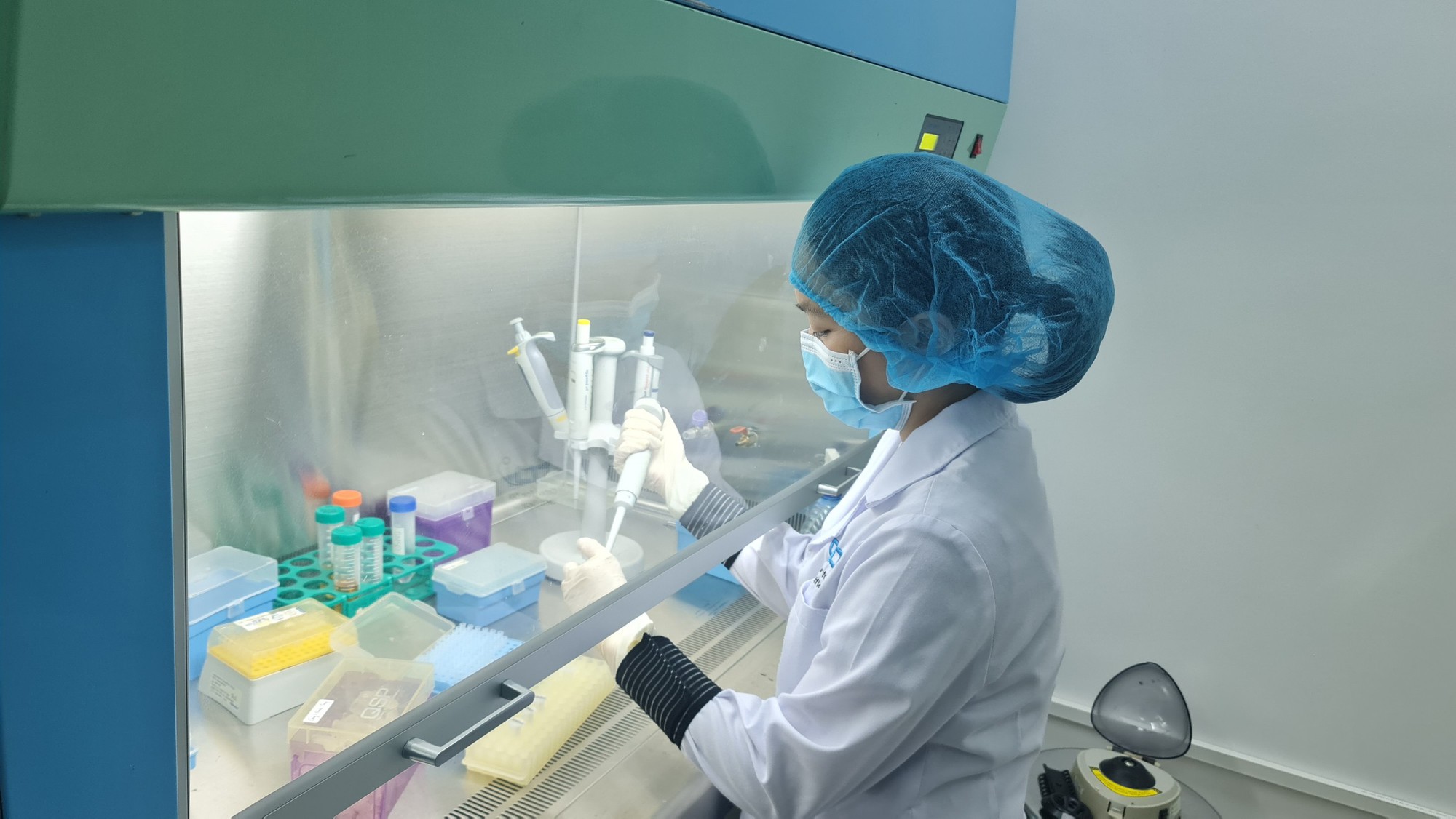 A breakthrough in DNA identification technology for the remains of ...