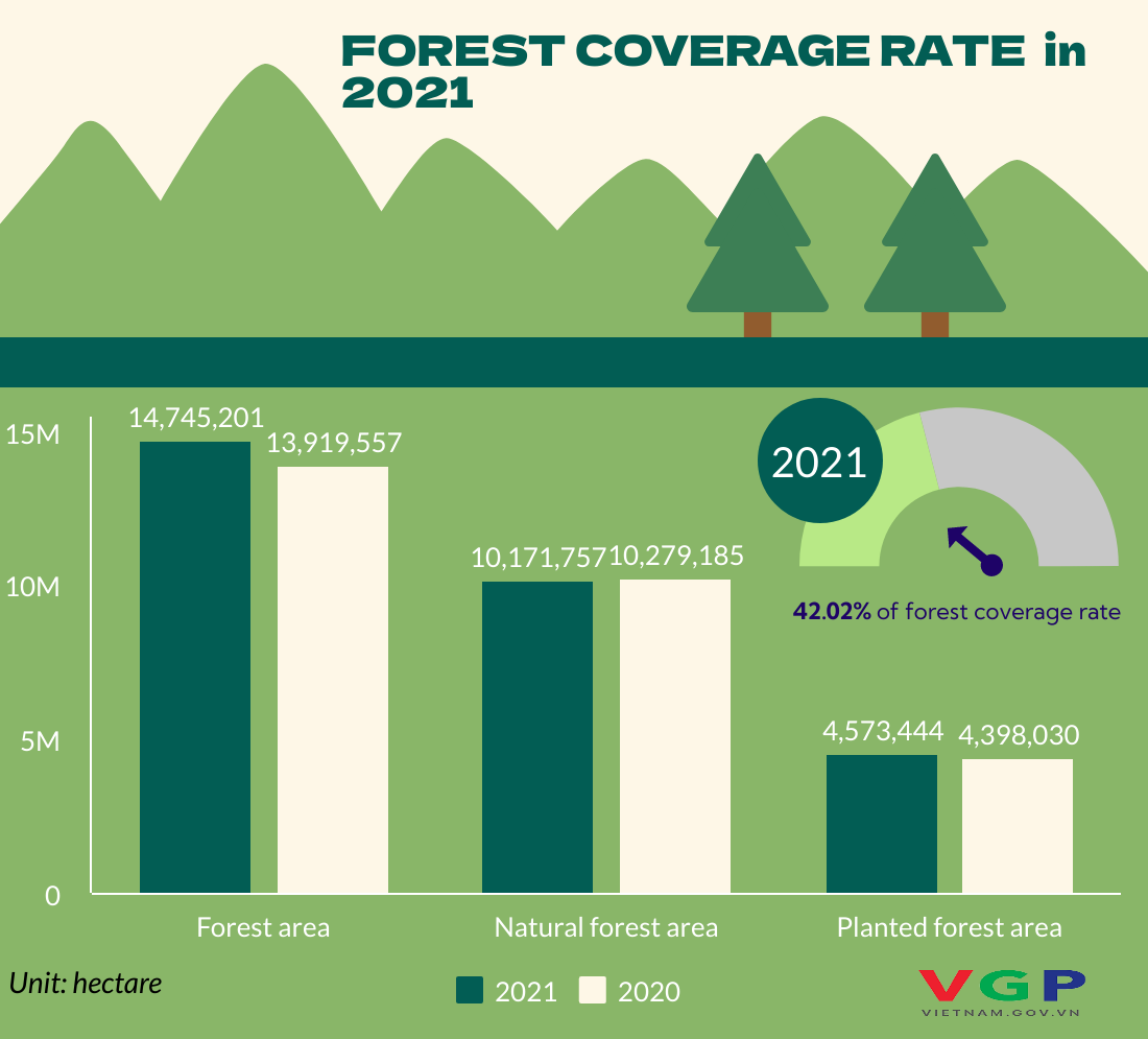 Forest coverage hits 42.02% by end of 2021
