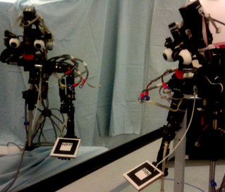 Robot biết… soi gương