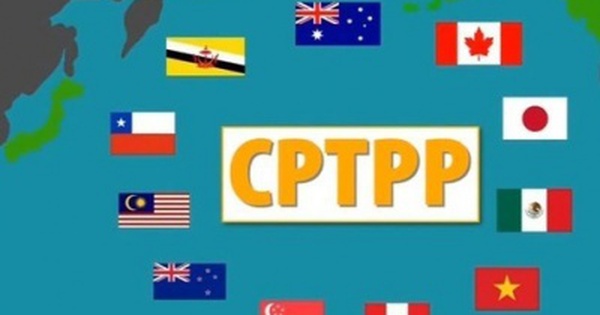 Quốc gia thứ 9 phê chuẩn Hiệp định CPTPP