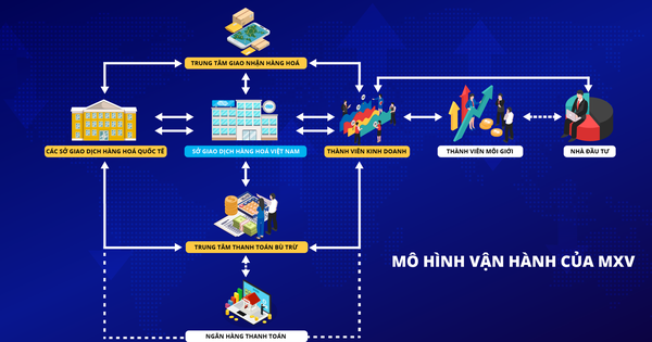 Tàu ngô nhập khẩu đầu tiên của MXV cập cảng Quảng Ninh