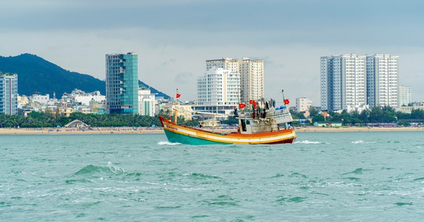 Bà Rịa-Vũng Tàu: Phấn đấu diện tích nhà ở bình quân gần 30m2 mỗi người