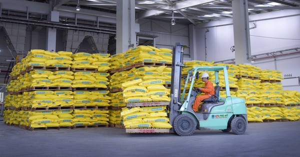 PVFCCo vào Top 50 công ty niêm yết tốt nhất năm 2023