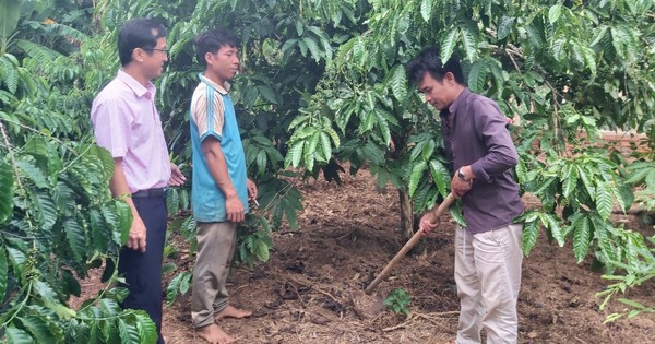 Tín dụng chính sách góp lực đổi thay diện mạo nông thôn Krông Pắc