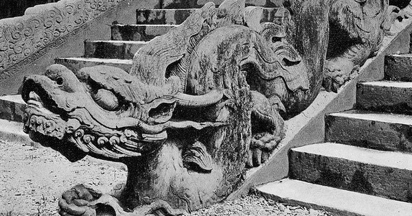 Hậu duệ của Rồng