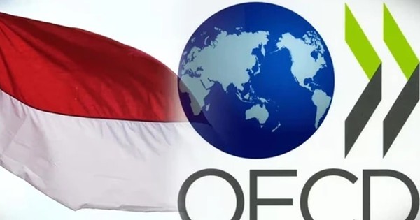 Bước tiến quan trọng của Indonesia trong quá trình gia nhập OECD