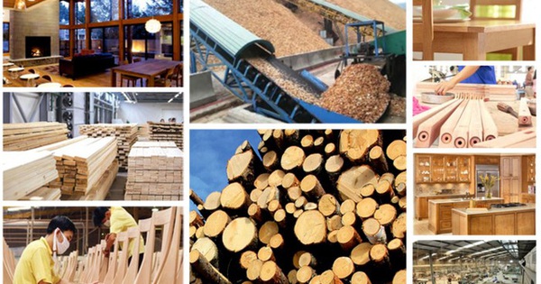 Export of timber and forest products projected to reach US$25 bln by 2030