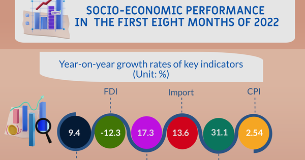 Infographic: Socio-economic performance in first eight months of 2022