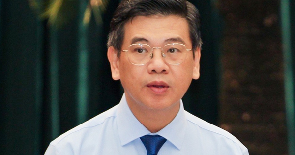 HCM City has new Vice Chairman