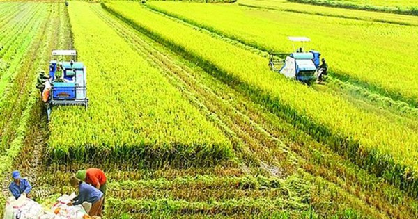 Agriculture reaches highest growth rate in 10 years
