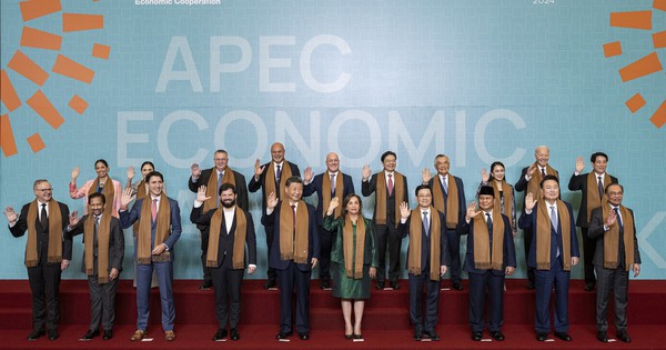 Full remarks by President Luong Cuong at 31st APEC Economic Leaders' Summit