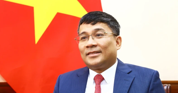 New Chairman of National UNESCO Commission named