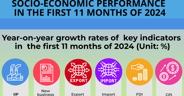 INFOGRAPHIC: SOCIAL-ECONOMIC PERFORMANCE IN FIRST 11 MONTHS OF 2024