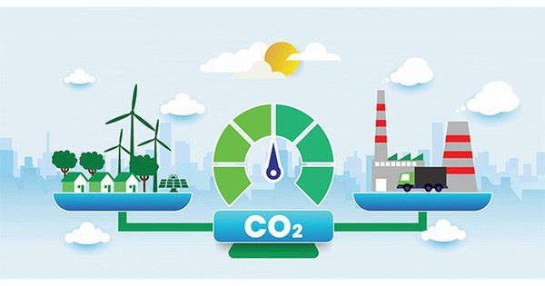 Carbon credit management to be strengthened towards NDC implementation