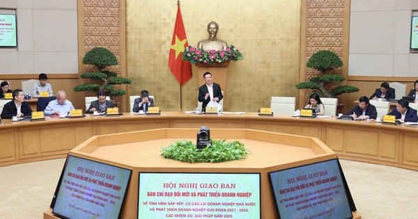 Plans for restructuring SOEs must be finalized in first quarter