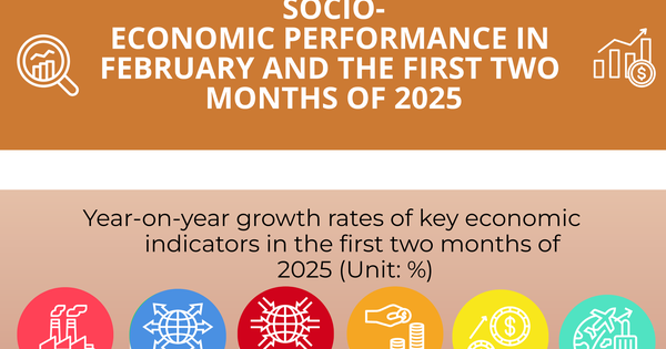 INFOGRAPHIC: SOCIAL-ECONOMIC PERFORMANCE IN FIRST TWO MONTHS OF 2025