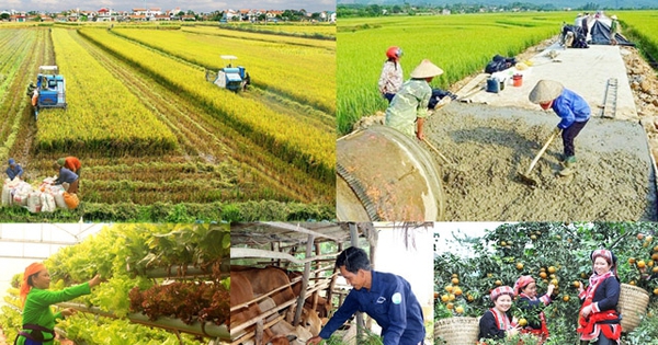 Central Steering Committee for national target program in 2021-2025 ...