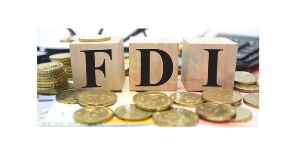 FDI disbursement in first half hits record high