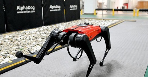 Chó robot sử dụng trí tuệ nhân tạo