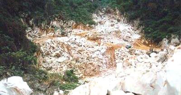 Bổ sung khu vực ở xã Tân Xuân thuộc tỉnh Nghệ An vào Quy hoạch phân ...