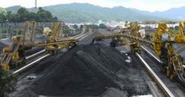 Điều lệ tổ chức và hoạt động của TKV