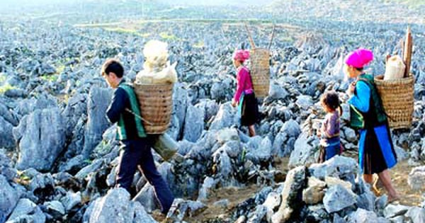 UNESCO officially recognizes Đồng Văn stone plateau as global geo-park