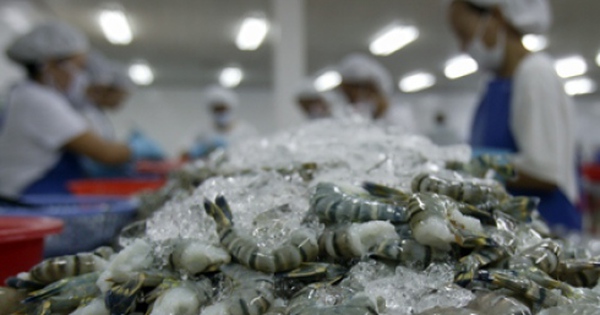 US levies anti-subsidy duties on made-in-Viet Nam shrimp