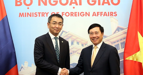 Pictures: DPM, FM Minh holds talks with Mongolian FM Munkh-Orgil