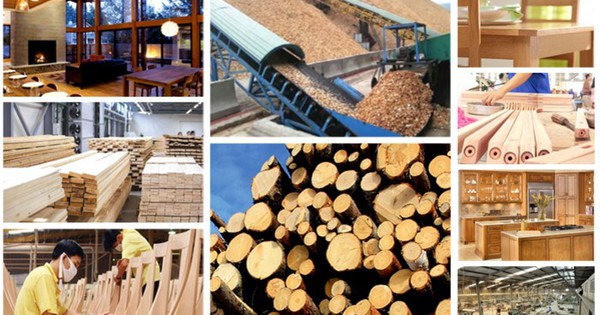 Wood processing expected to become key economic sector