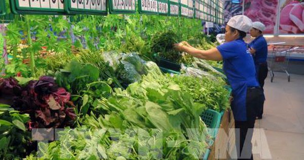 Collective economy copes with challenges of market economy