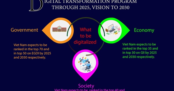 Infographics: Viewpoints and goals of National Digital Transformation ...