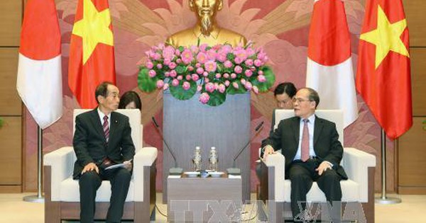 VN, Japan promote extensive strategic partnership relations