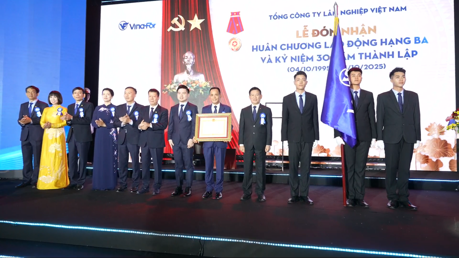 Vinafor hướng tới phát triển thành tập đoàn lâm nghiệp quy mô lớn